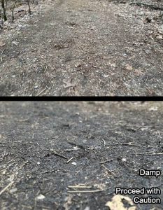 How to Trail Ride a Onewheel - [Guide]
